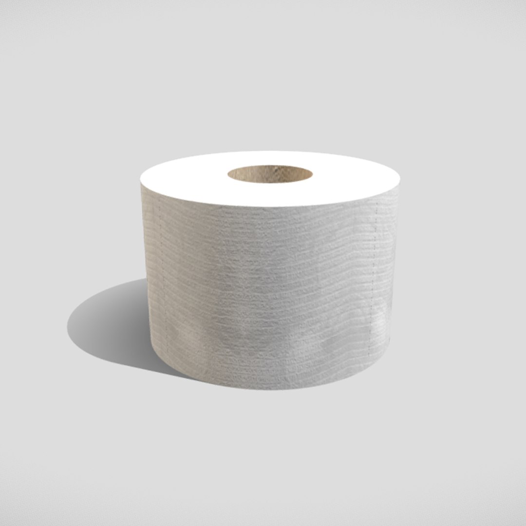 Toilet Paper Roll 3D Model - TurboSquid 1803638