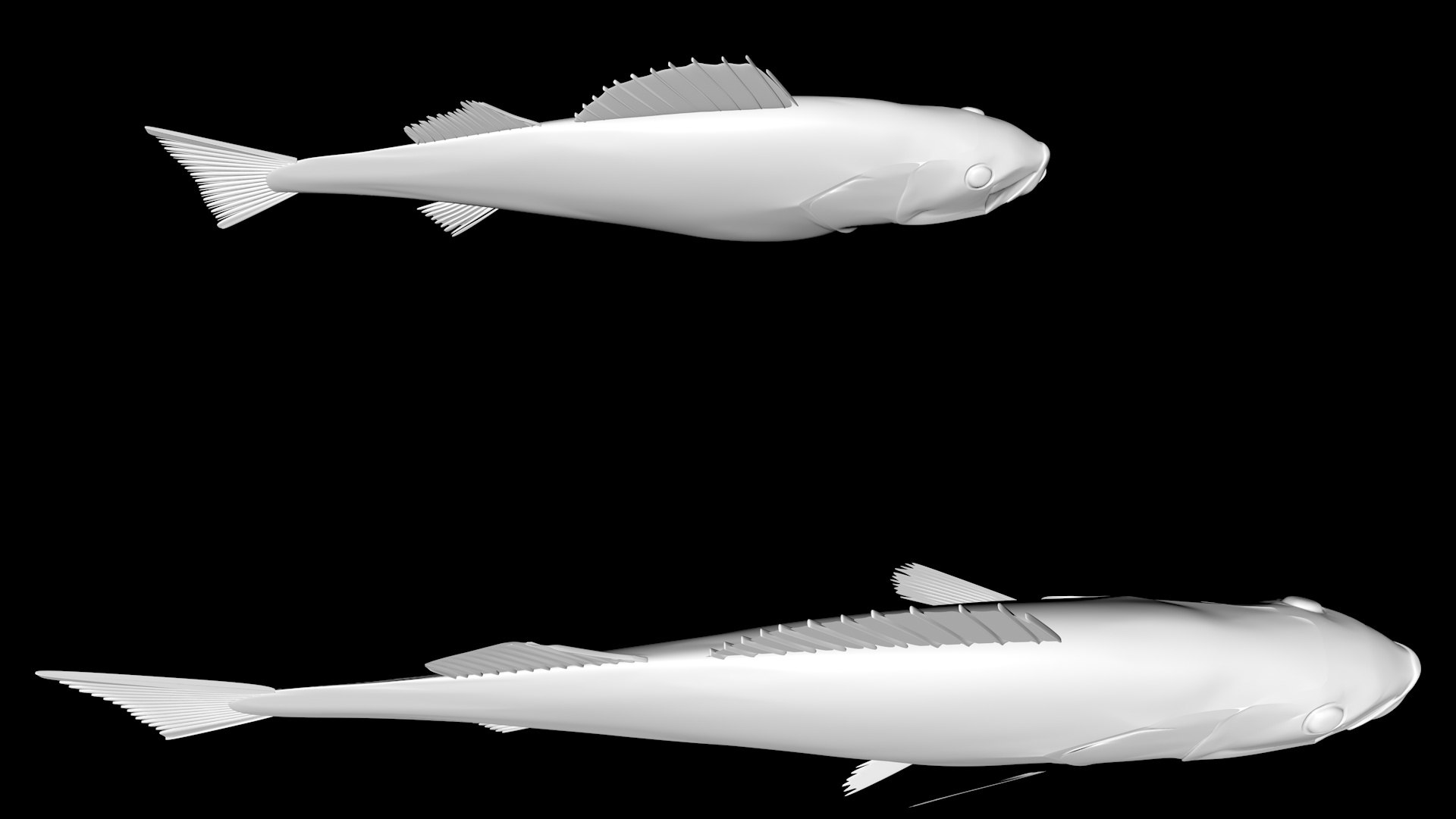 3D Walleye Fish Model - TurboSquid 1690073