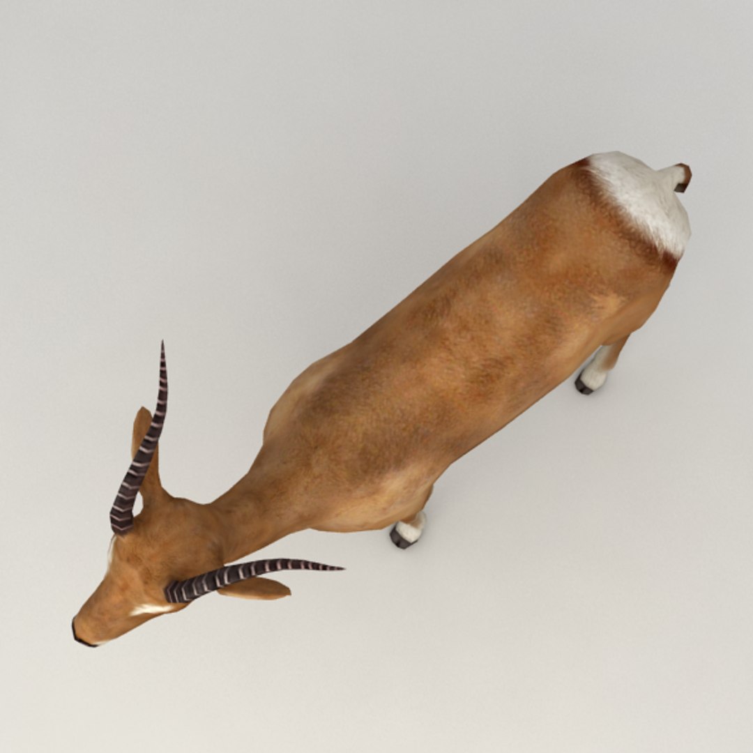 Rigged Antelope 3d Model
