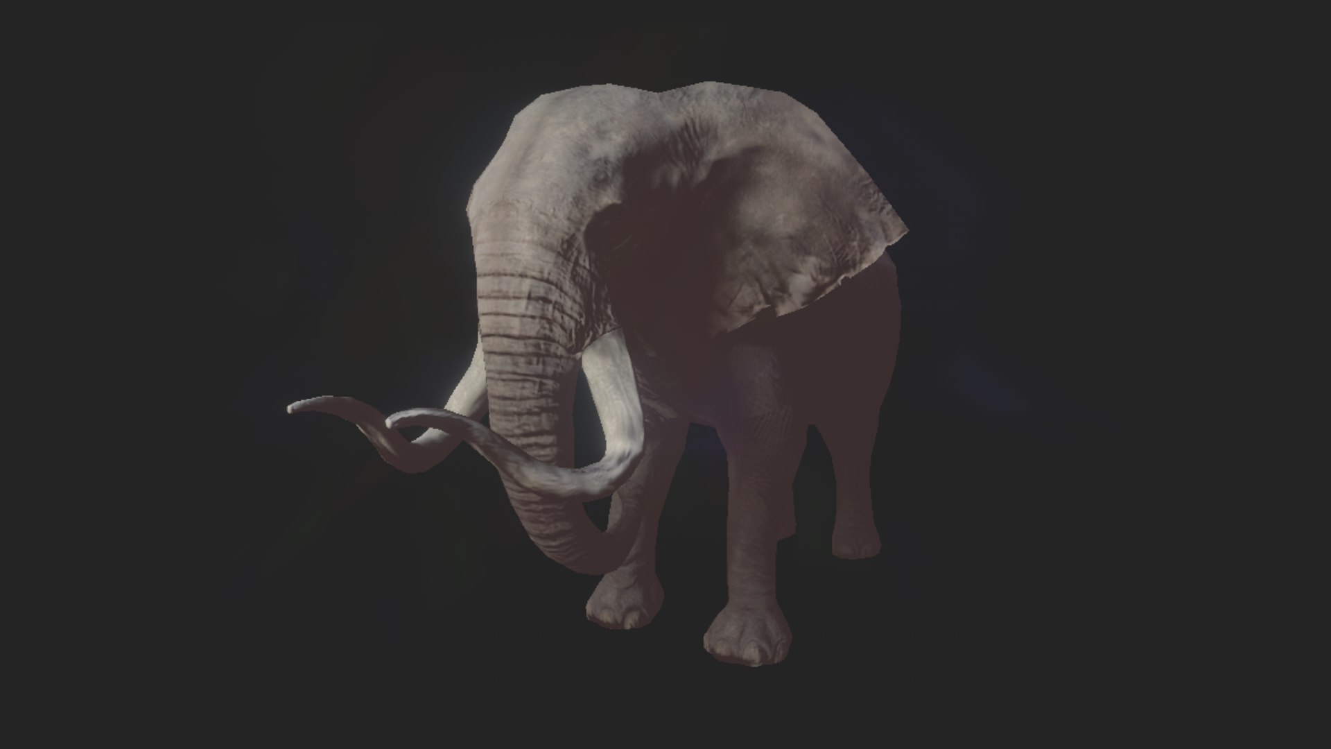 Elephant 3D - TurboSquid 1953785