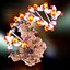 3d Model Dna Ligase Protein