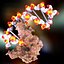 3d Model Dna Ligase Protein