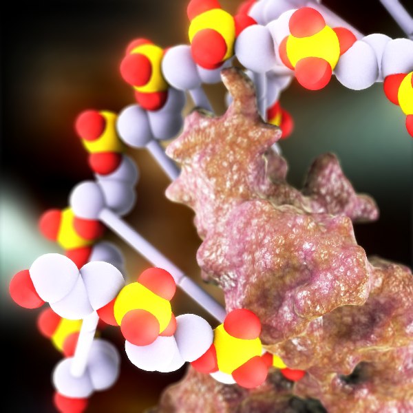 3d model dna ligase protein