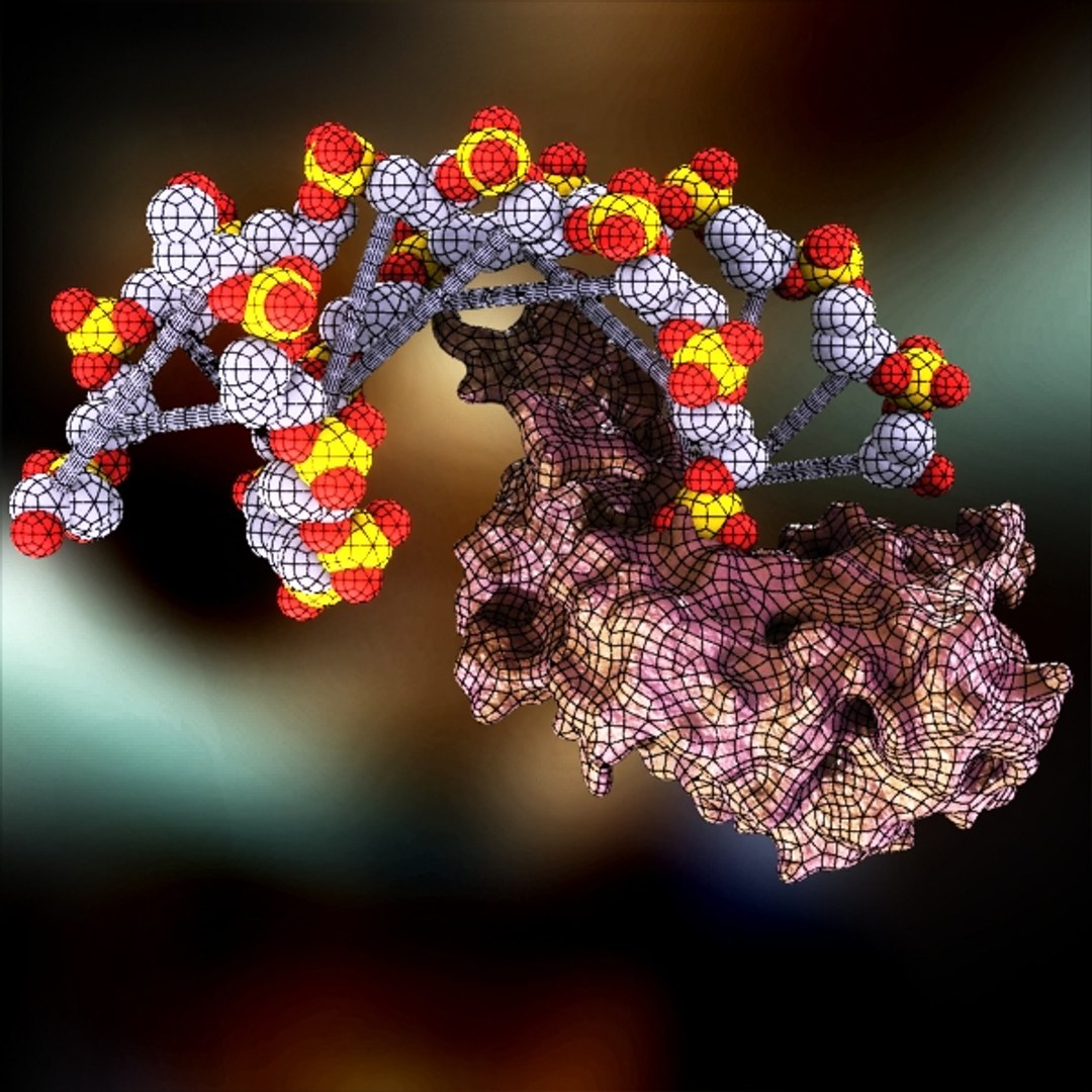 3d Model Dna Ligase Protein