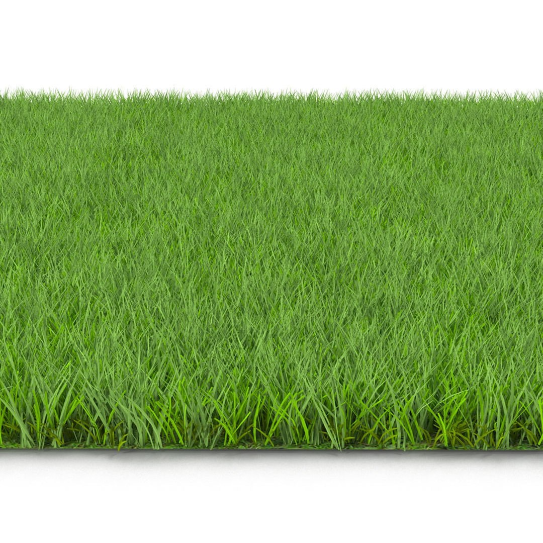 3D Grass Model - TurboSquid 2203142