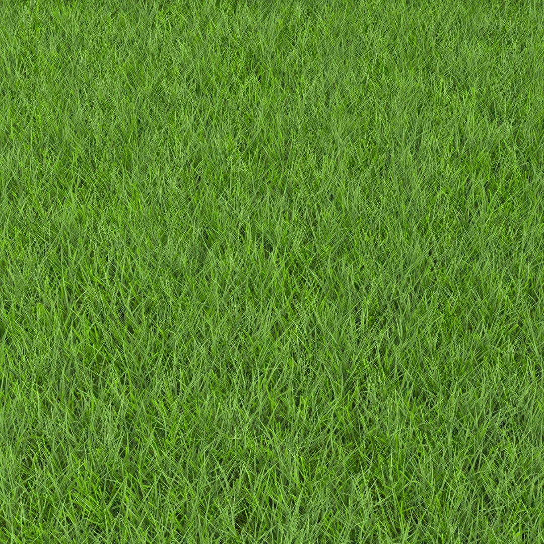 3D Grass Model - TurboSquid 2203142