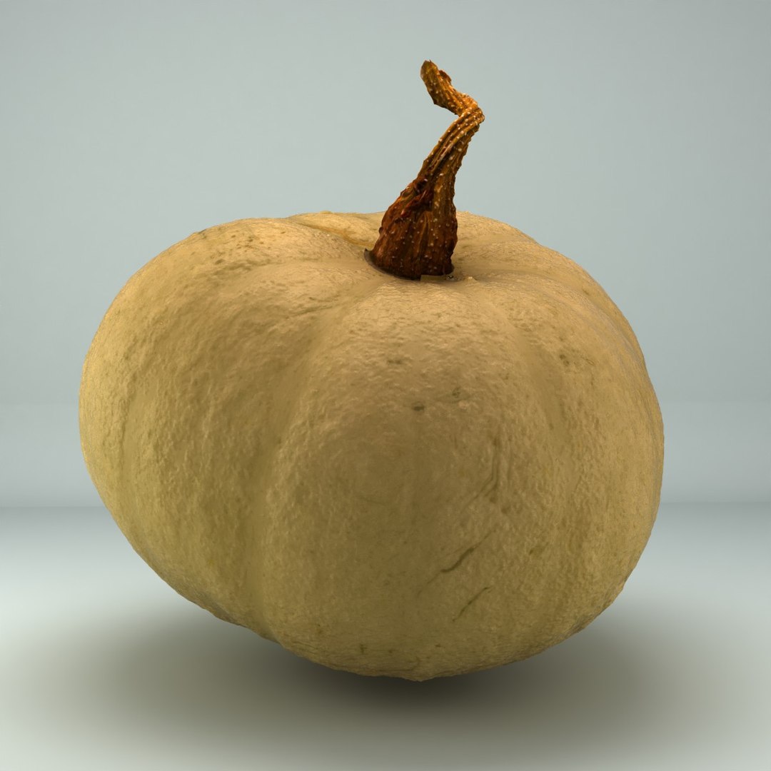Pumpkin scan model - TurboSquid 1434267