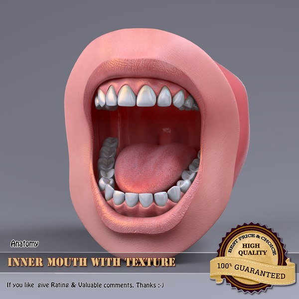 Human mouth 3D model - TurboSquid 1547789