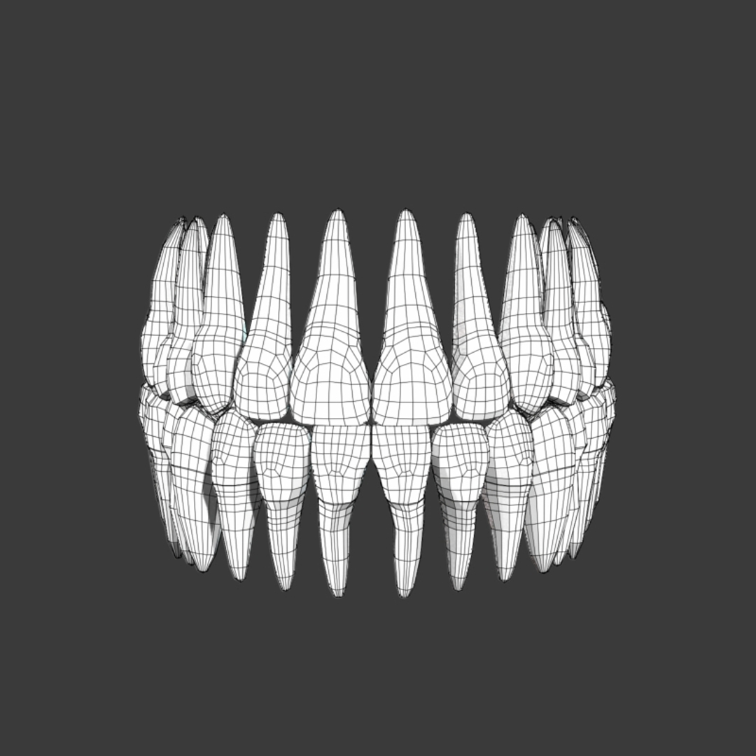 Inner Mouth 3d Model