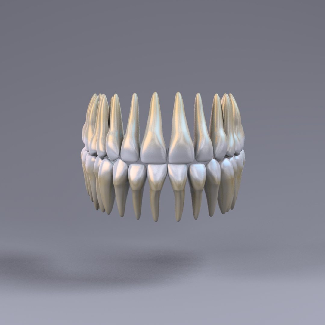 Inner Mouth 3d Model