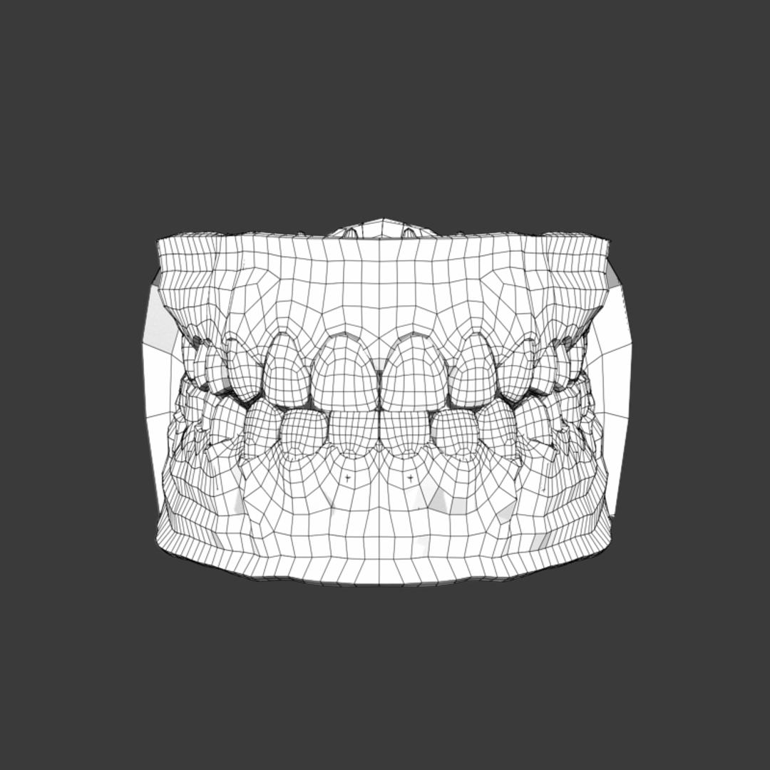 Inner Mouth 3d Model