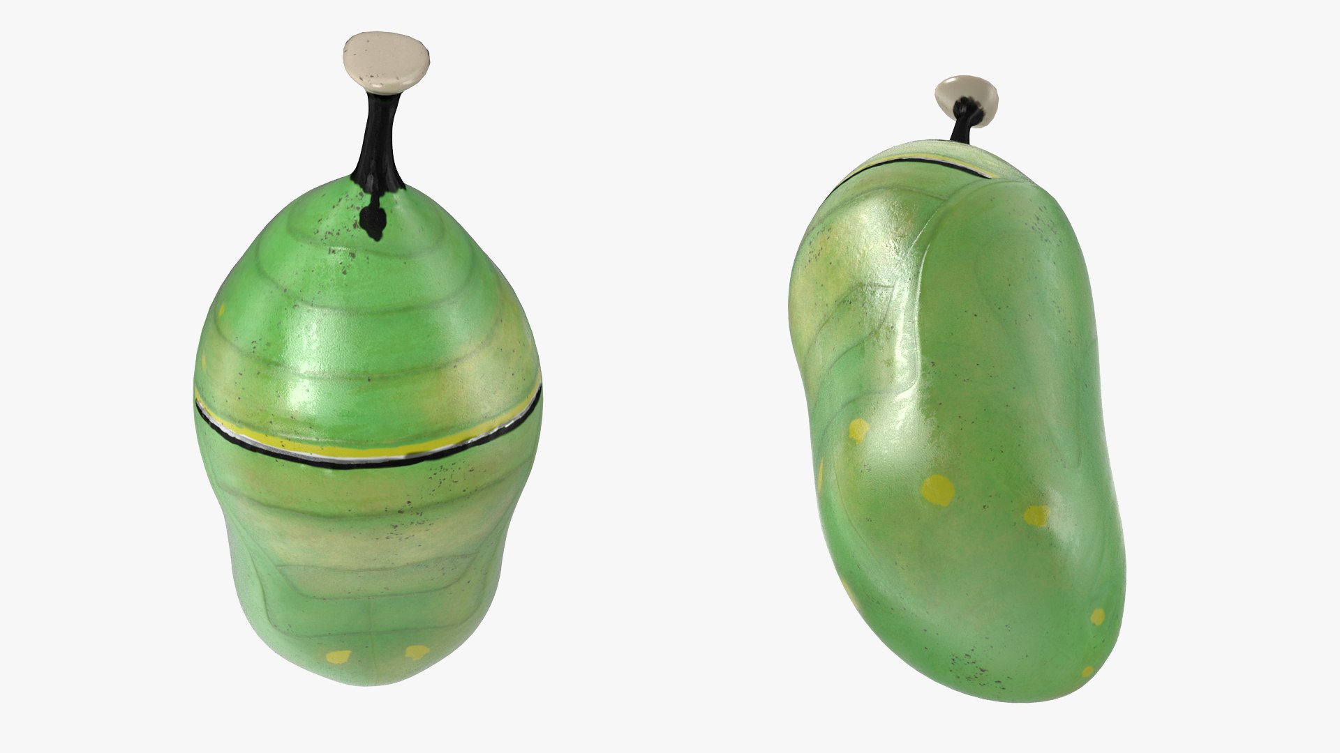 Monarch Butterfly Cocoon Flying 3D Model - TurboSquid 1490745