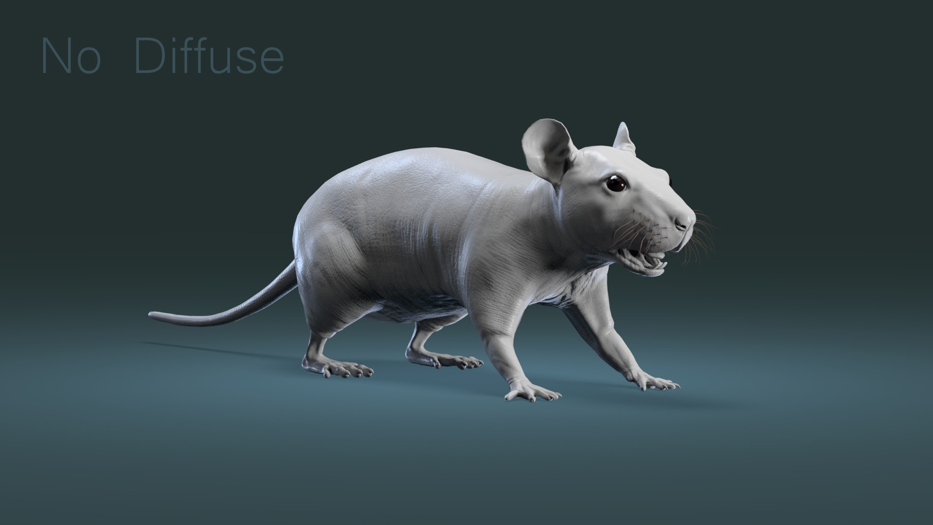 Rat Hairless 3D - TurboSquid 1475955