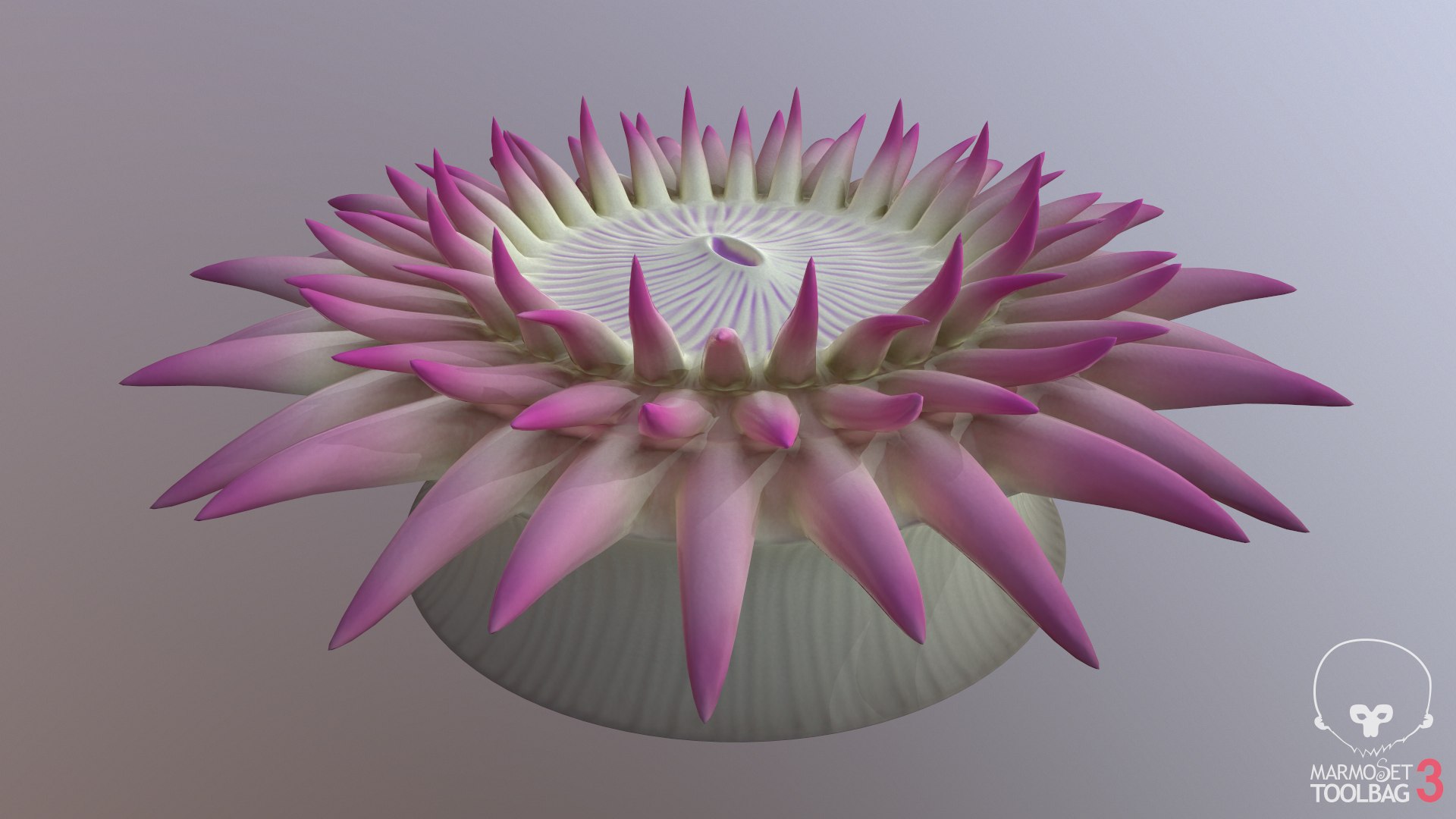 3D Aggregating Anemone Model - TurboSquid 1456616