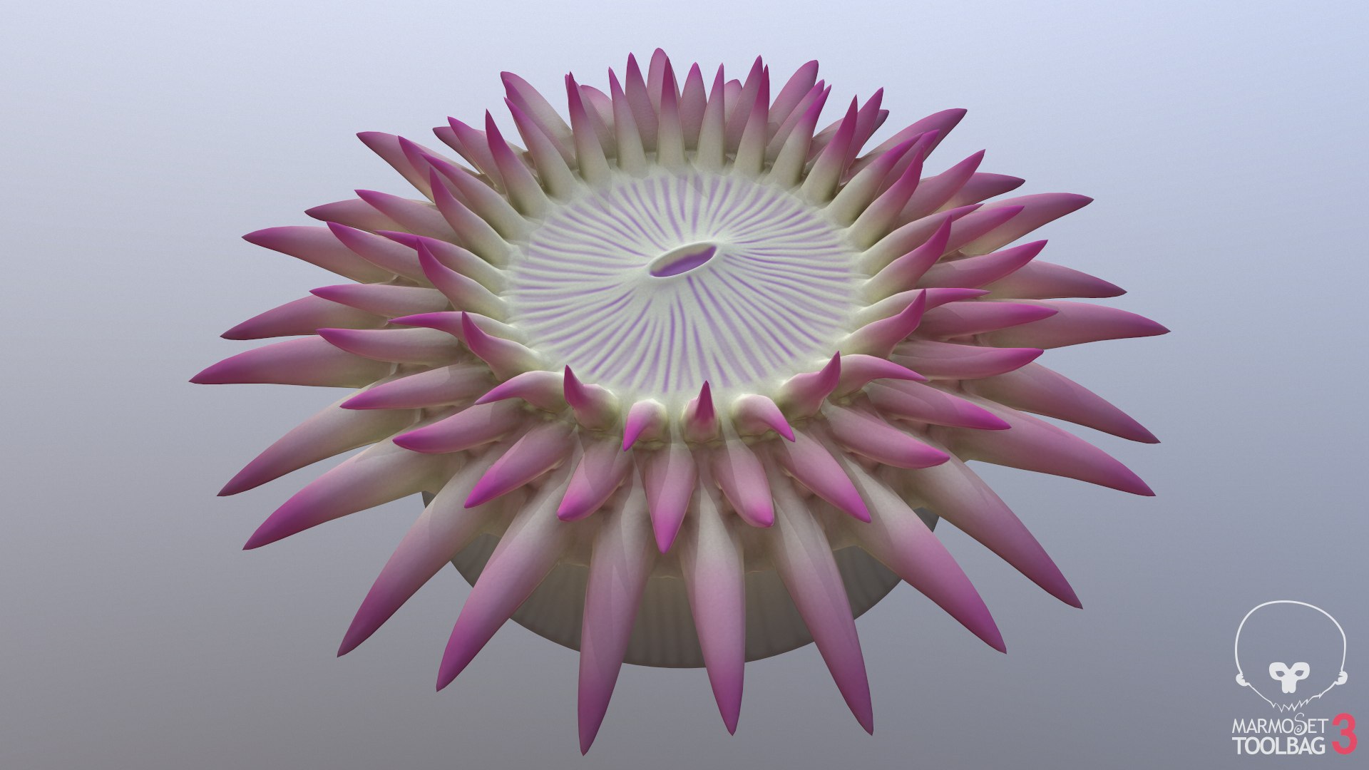 3D Aggregating Anemone Model - TurboSquid 1456616