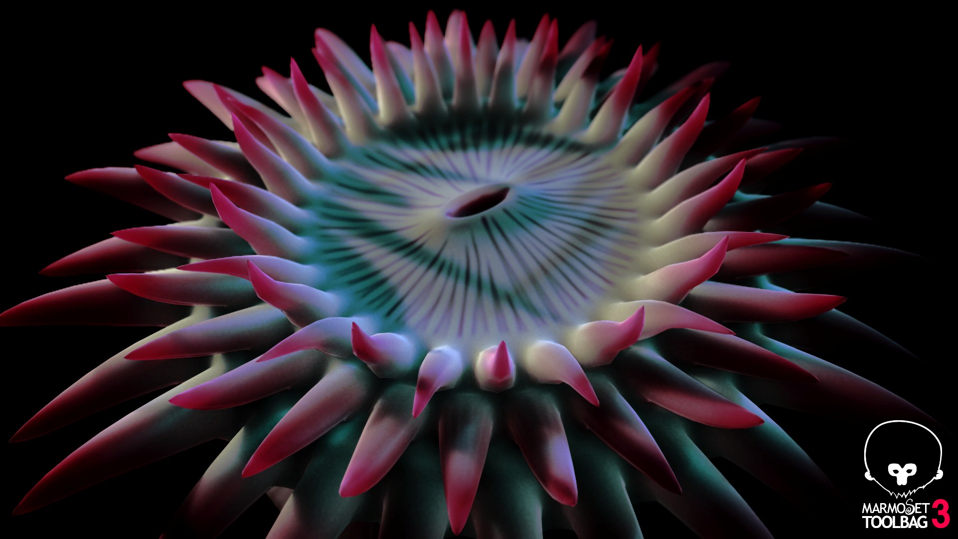 3D Aggregating Anemone Model - TurboSquid 1456616