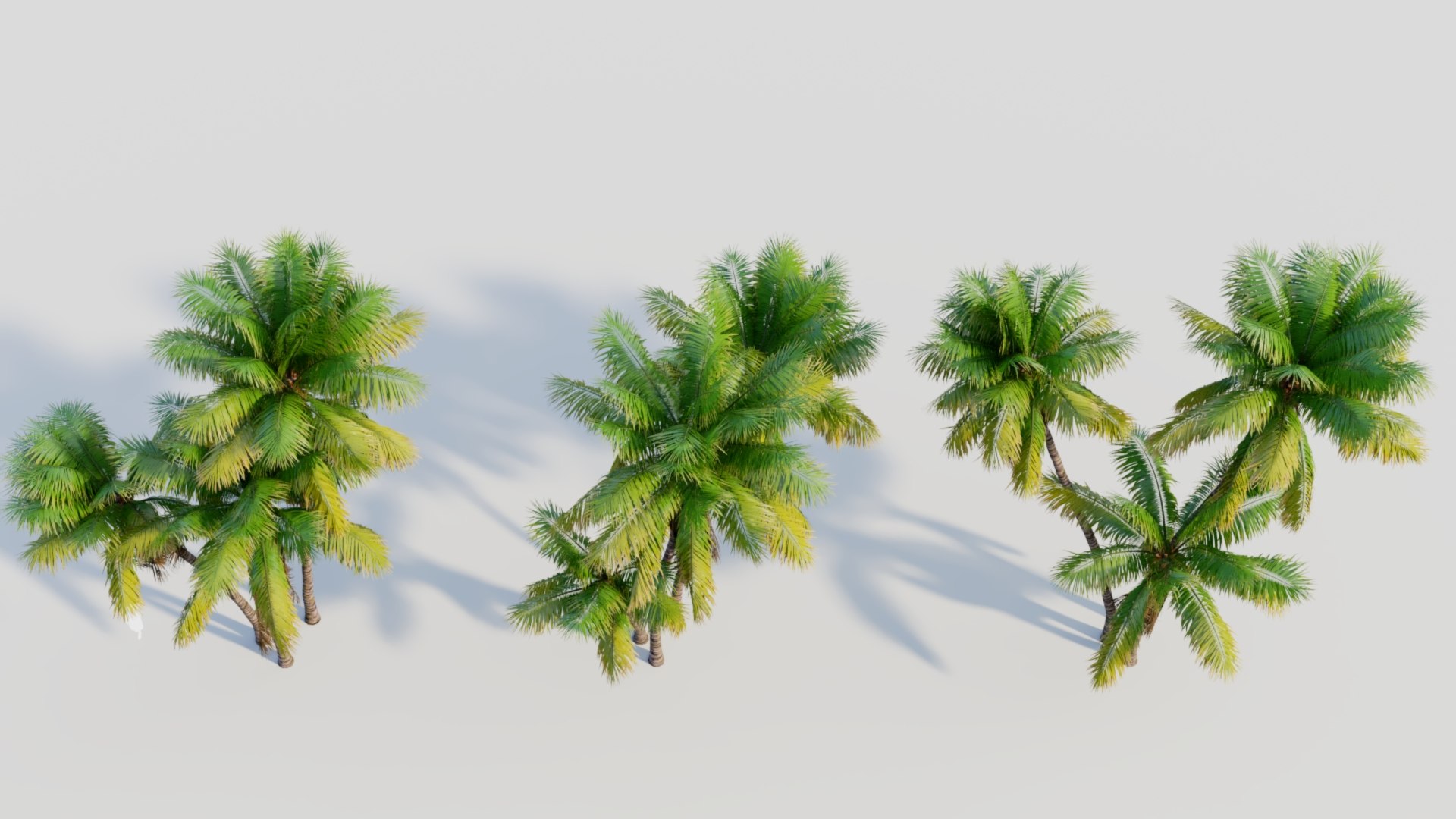 3D Cocos Nucifera C - TurboSquid 2217723