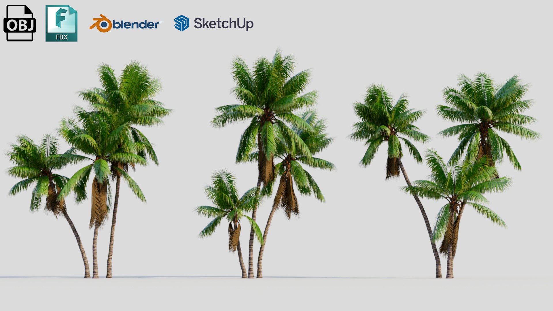 3D Cocos Nucifera C - TurboSquid 2217723