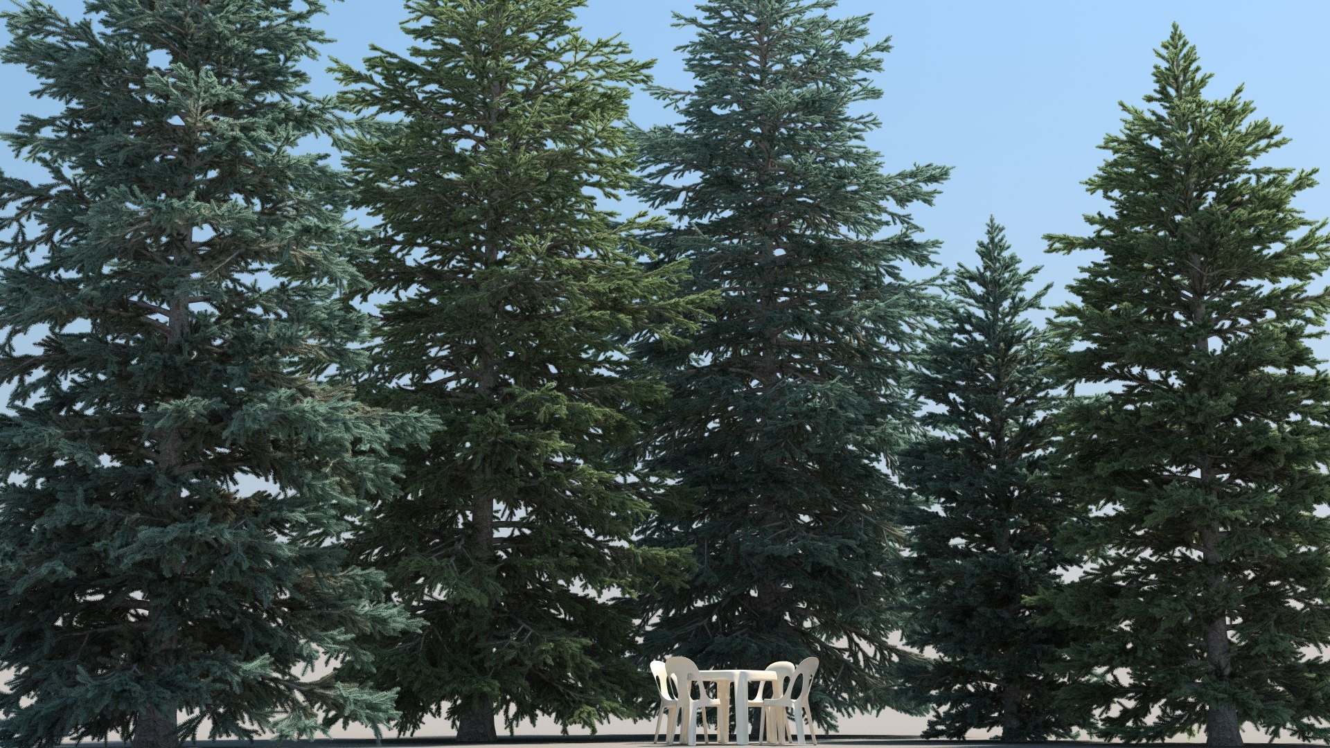 Snowy Fir Trees 3d Model