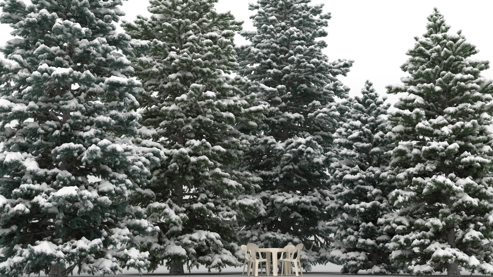 Snowy Fir Trees 3d Model