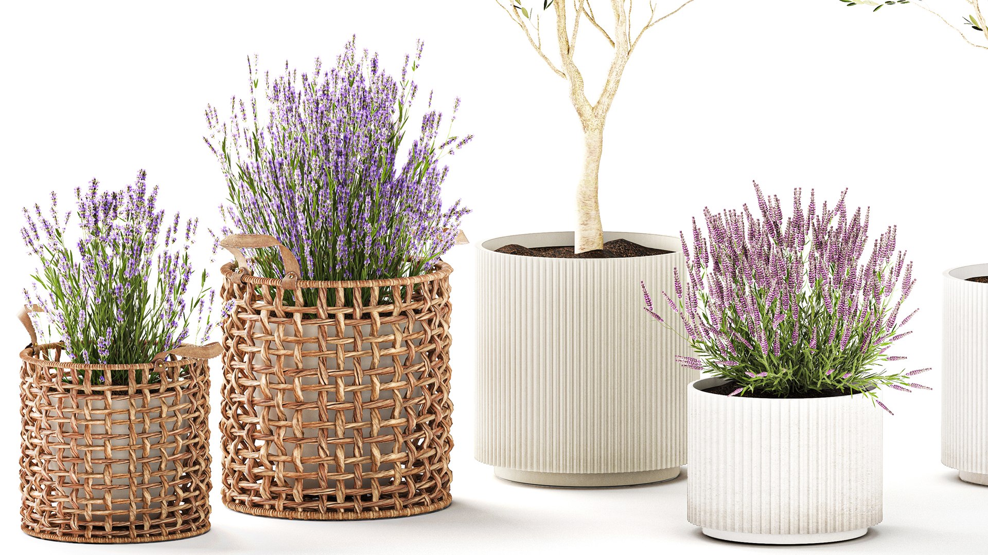 Plants Flower Bush In Baskets Pots Olive Tree Lavender Decor 3D Model ...