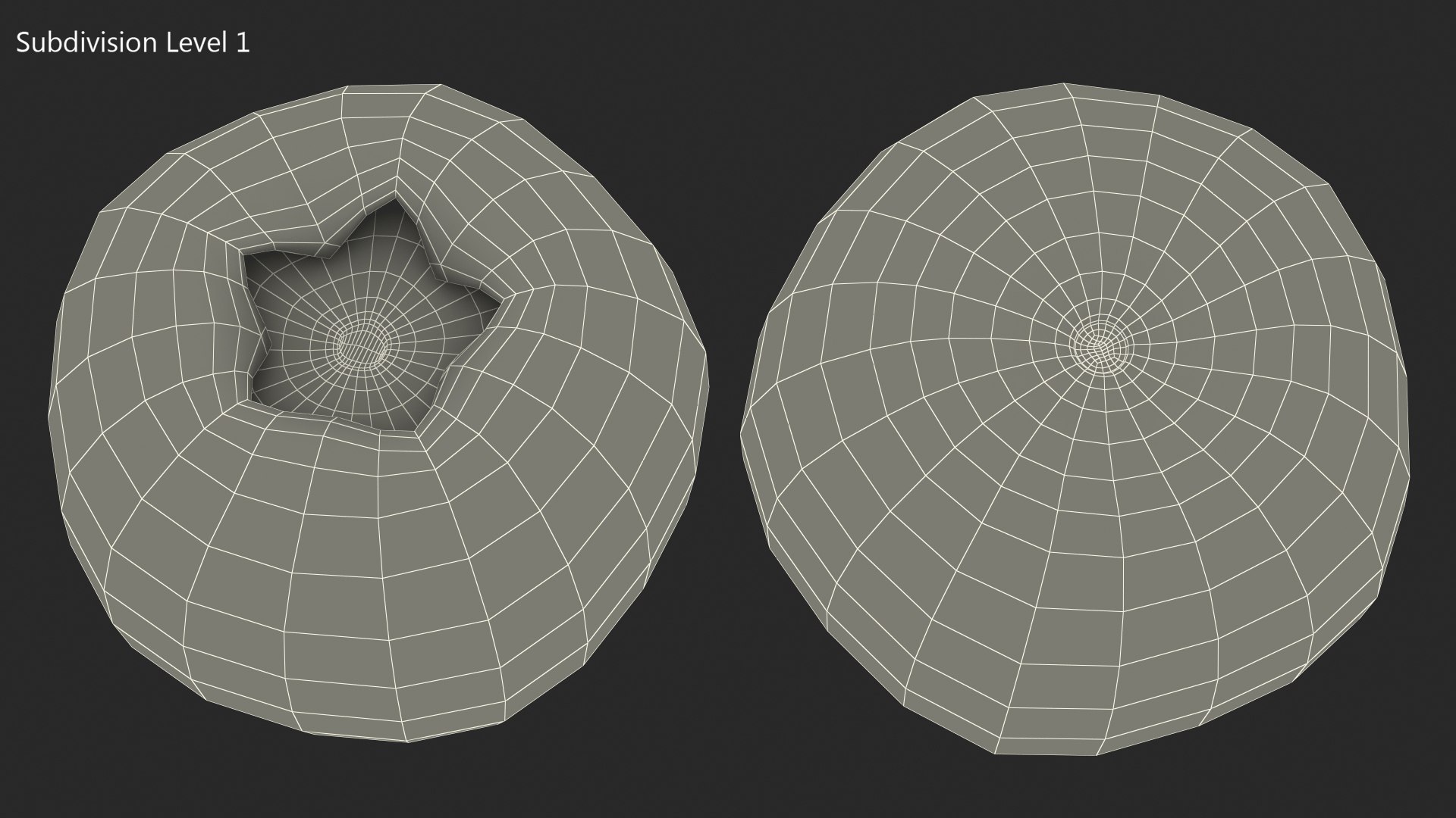 3D Single Blueberry Model - TurboSquid 2076196