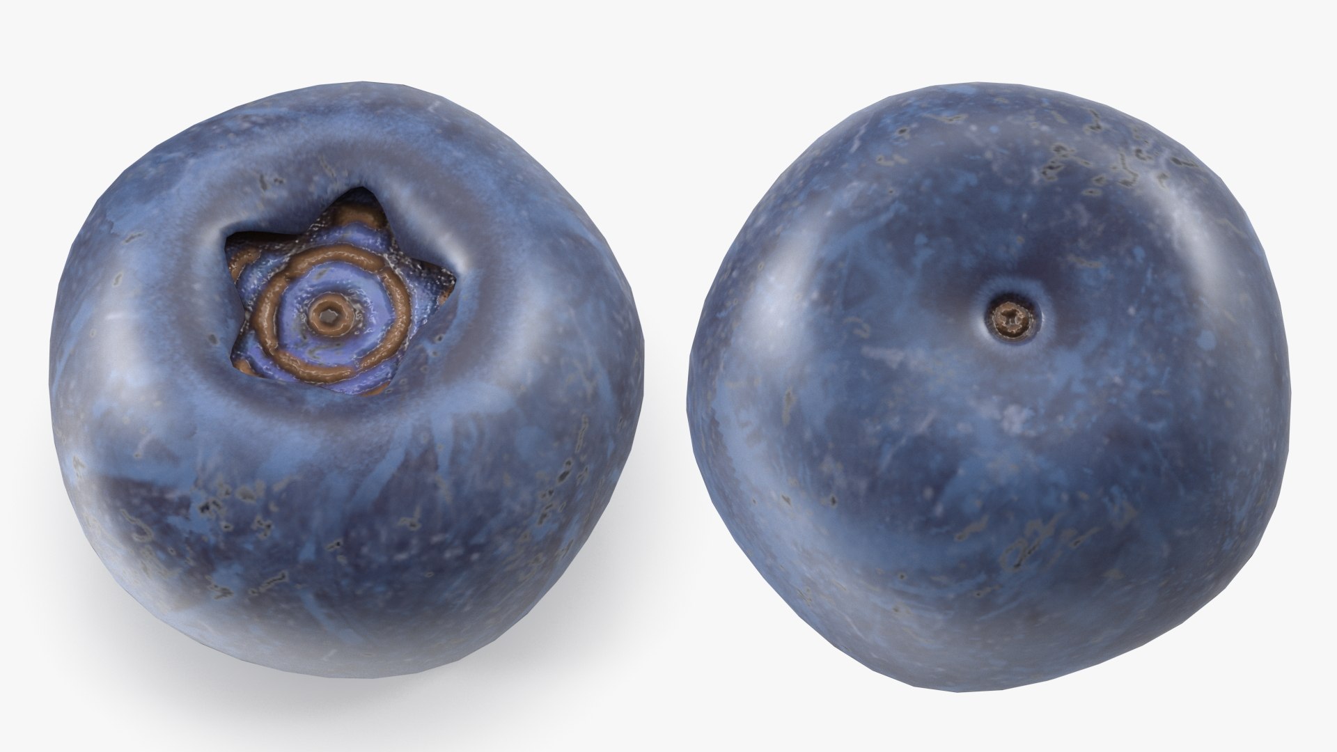 3D Single Blueberry Model - TurboSquid 2076196