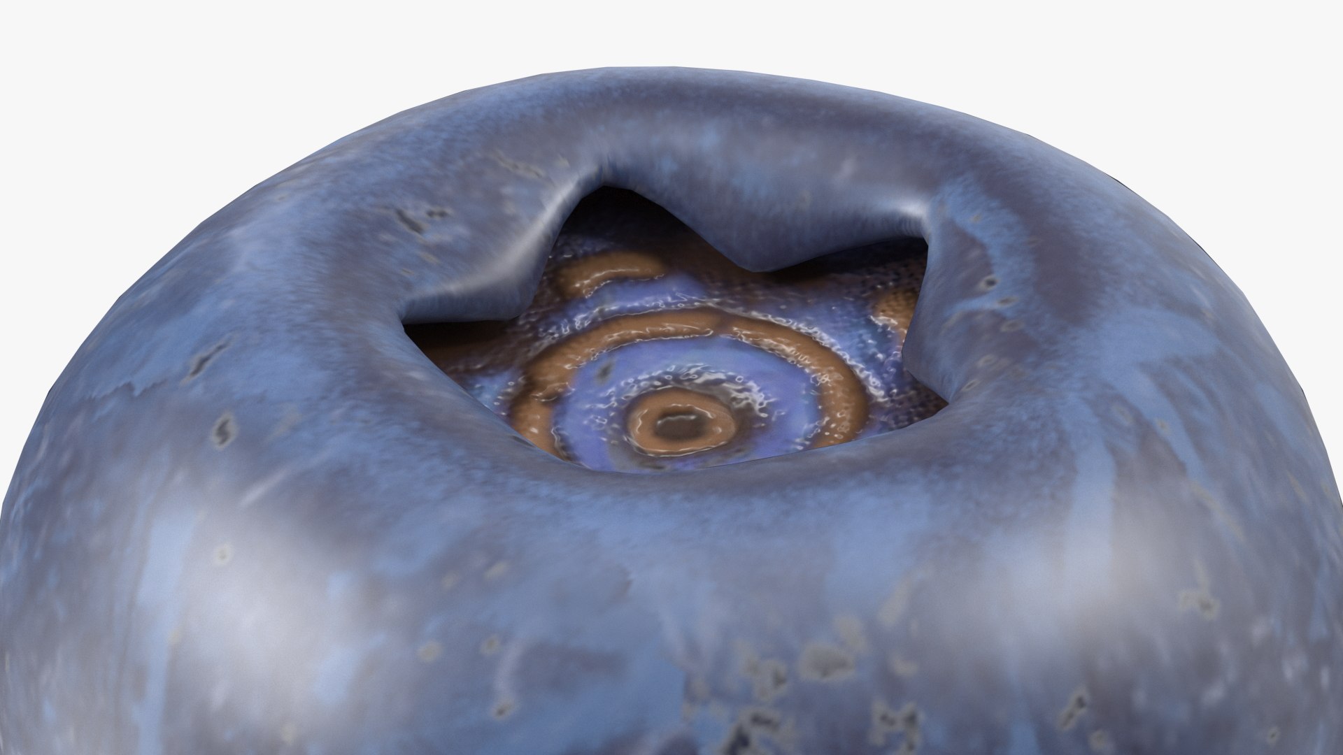 3D Single Blueberry Model - TurboSquid 2076196