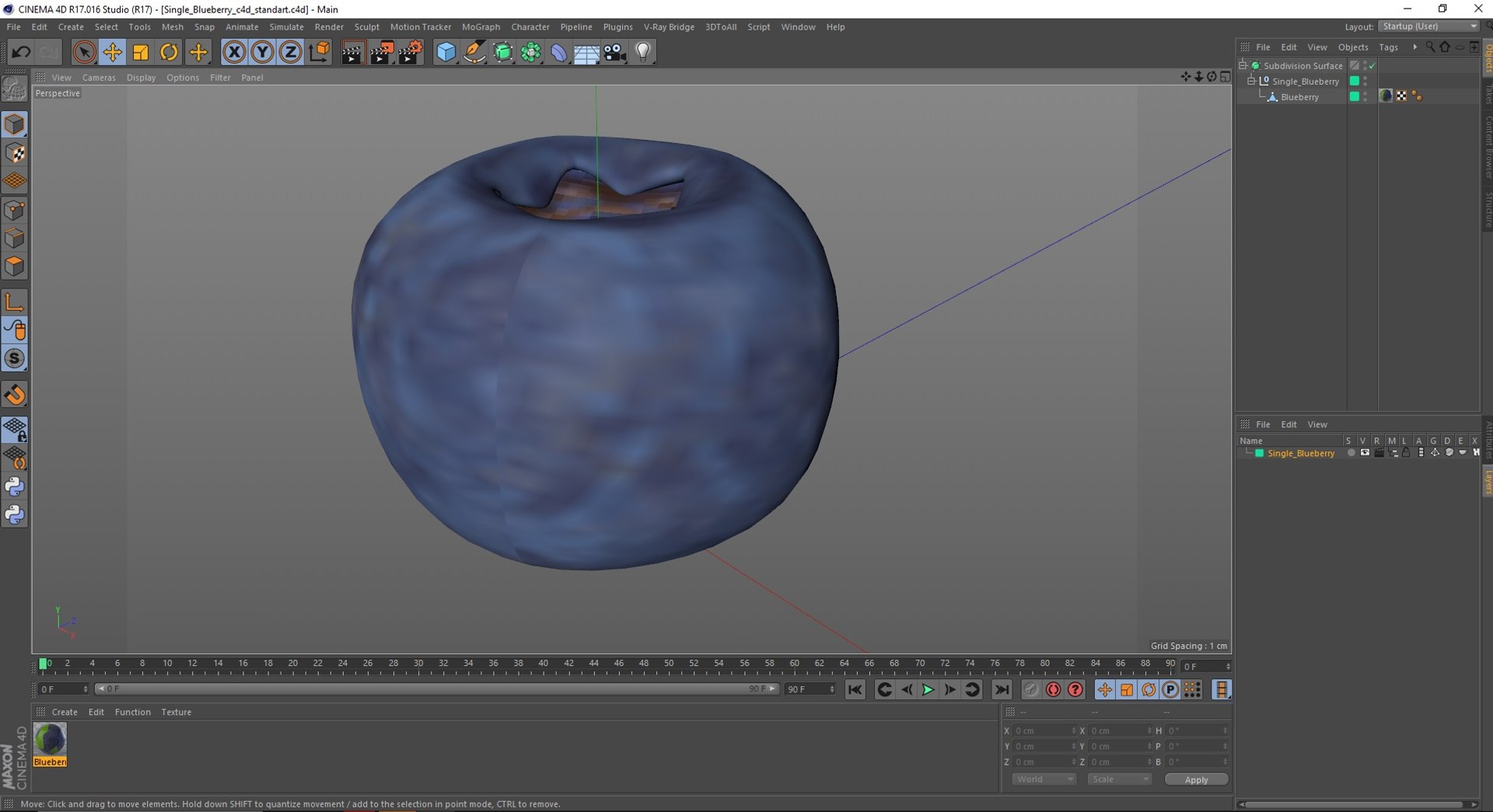 3D Single Blueberry Model - TurboSquid 2076196