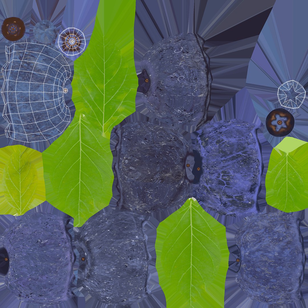 3D Single Blueberry Model - TurboSquid 2076196