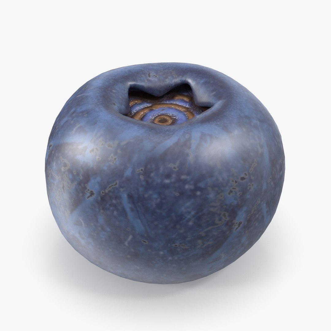 3D Single Blueberry model - TurboSquid 2076196