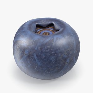 Low Poly Blueberry 3D Models for Download | TurboSquid