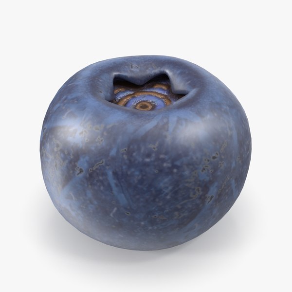 modelo 3d Arándano único - TurboSquid 2076196