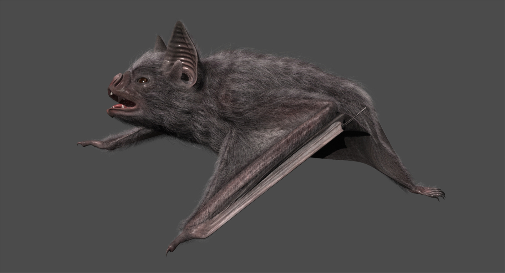 vampire bat animation obj