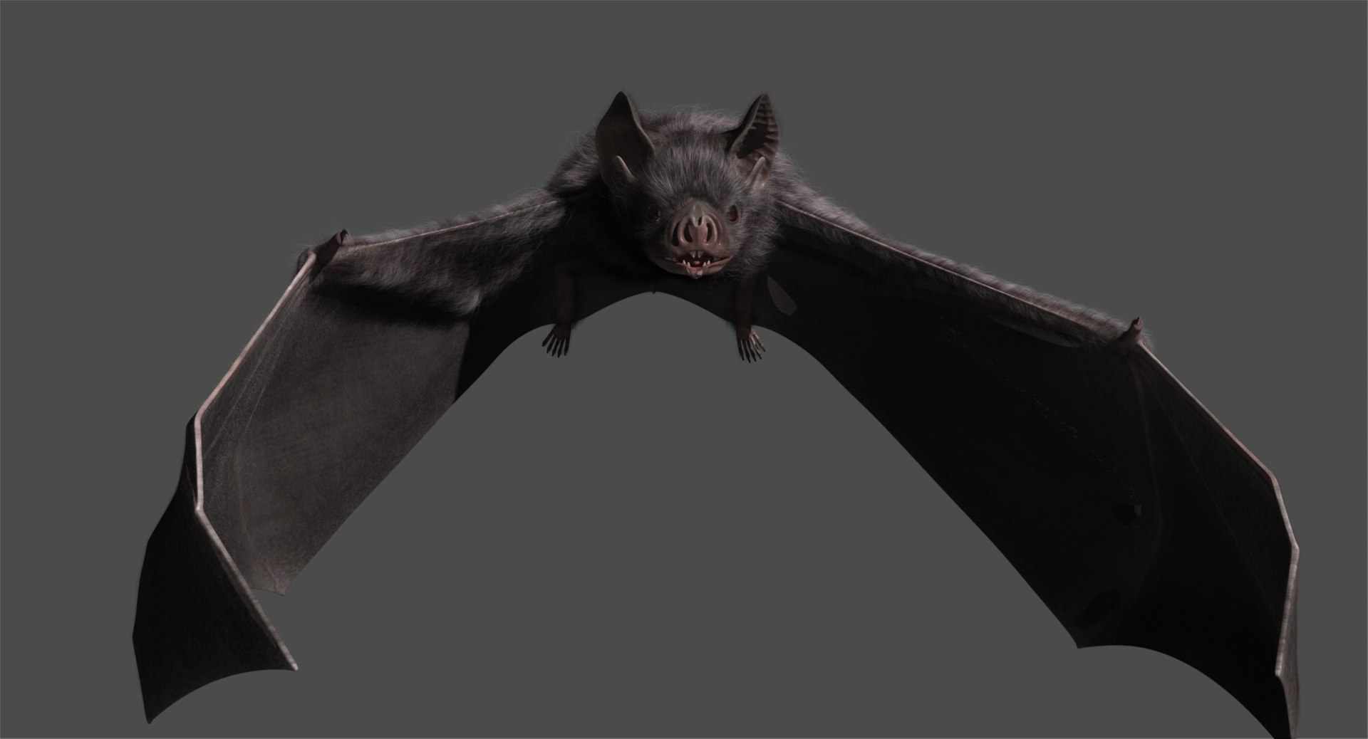 vampire bat animation obj