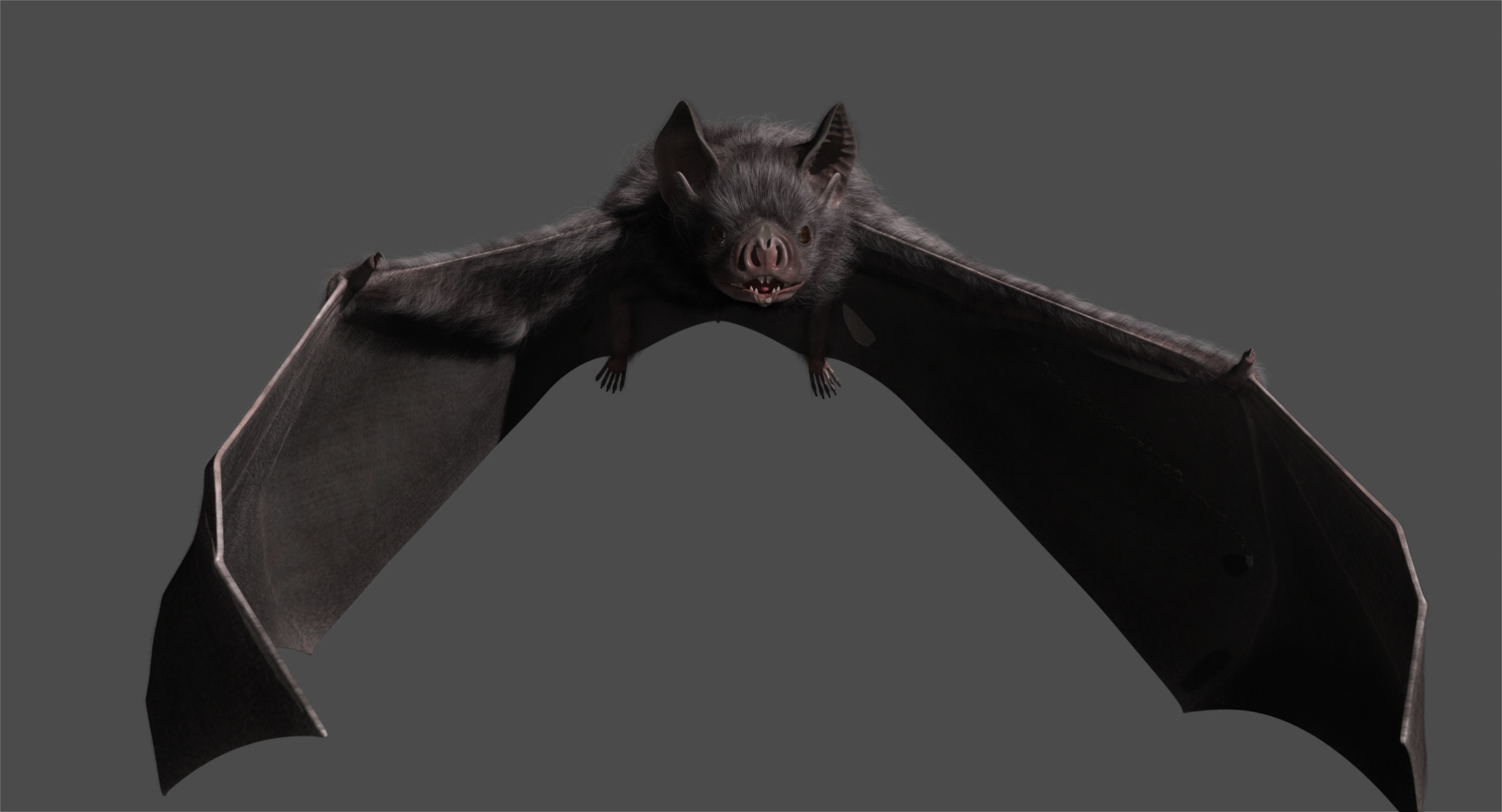 vampire bat animation obj
