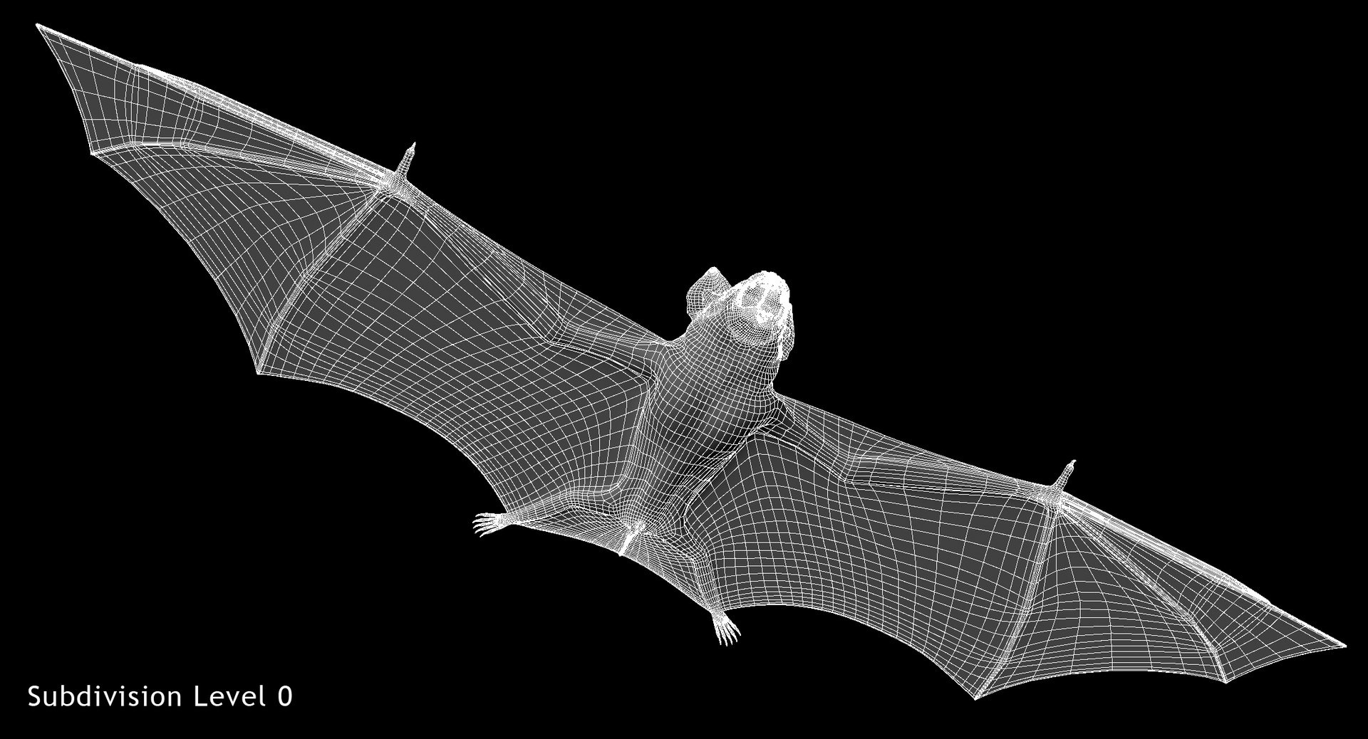 vampire bat animation obj