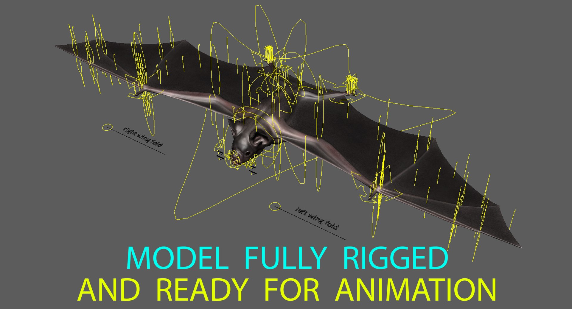 Vampire Bat Animation Obj