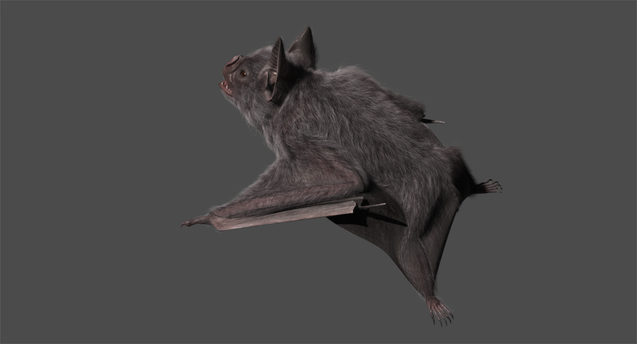 vampire bat animation obj