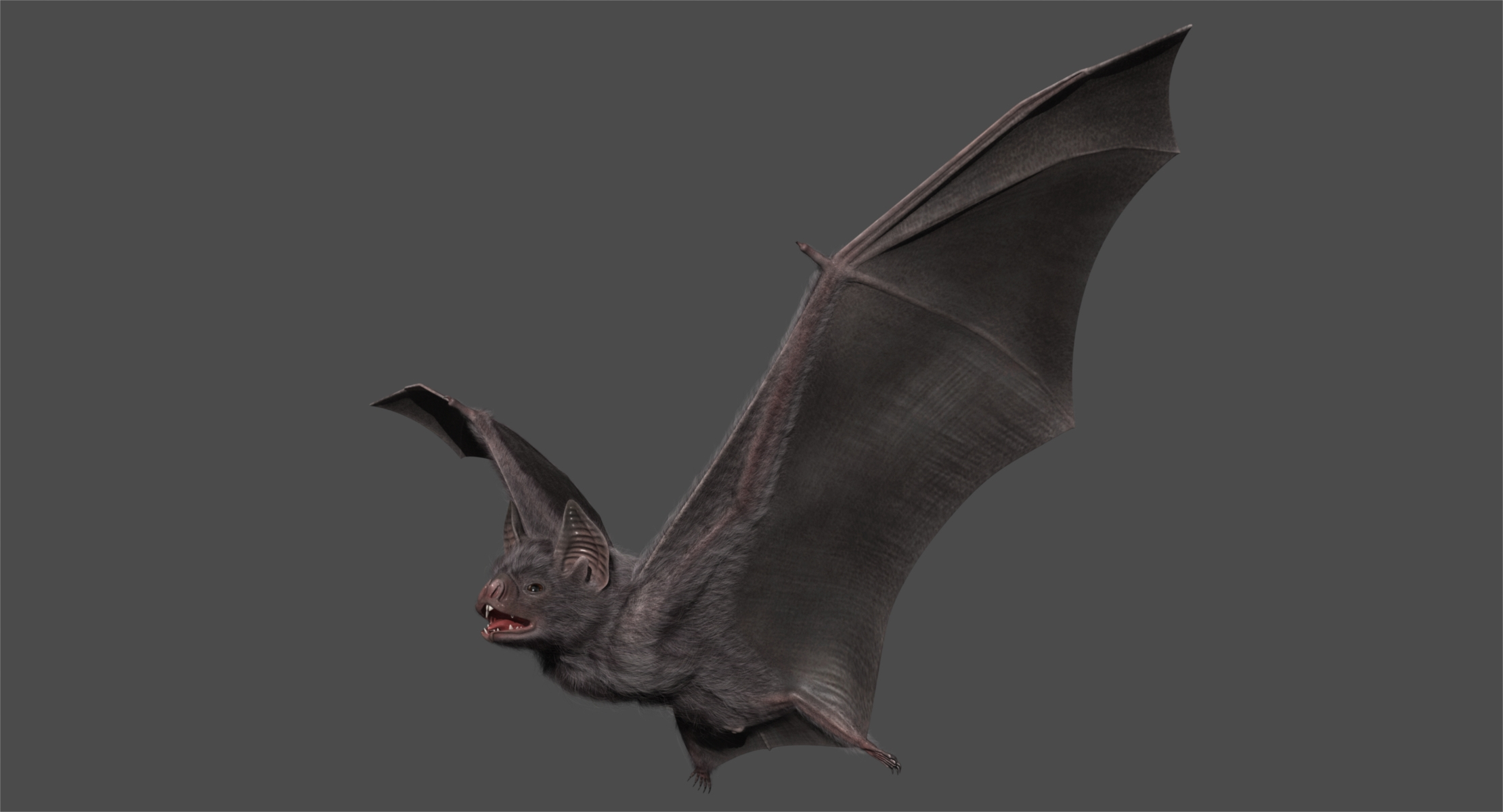 vampire bat animation obj