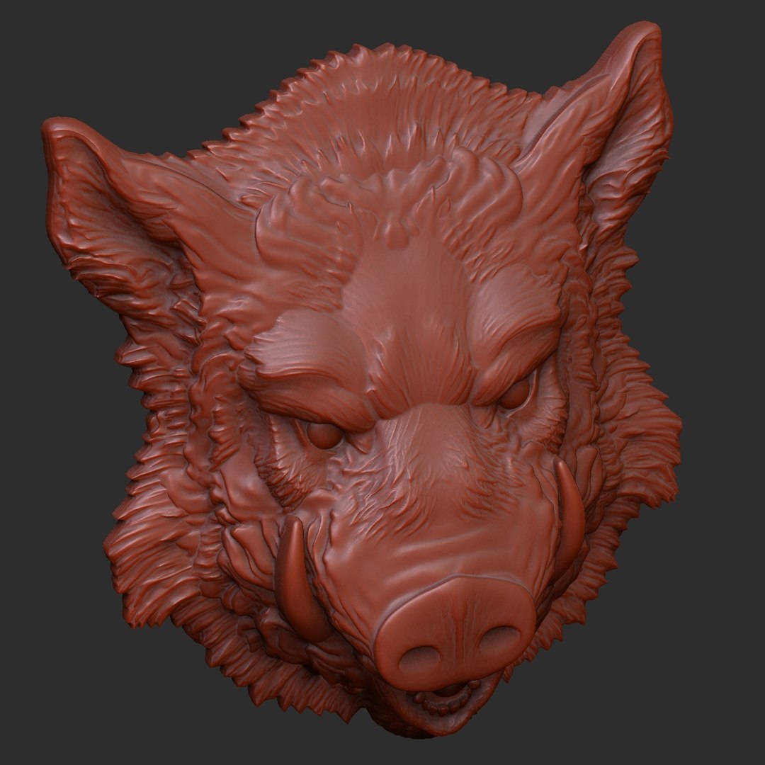 3D Boar Head - TurboSquid 1217057