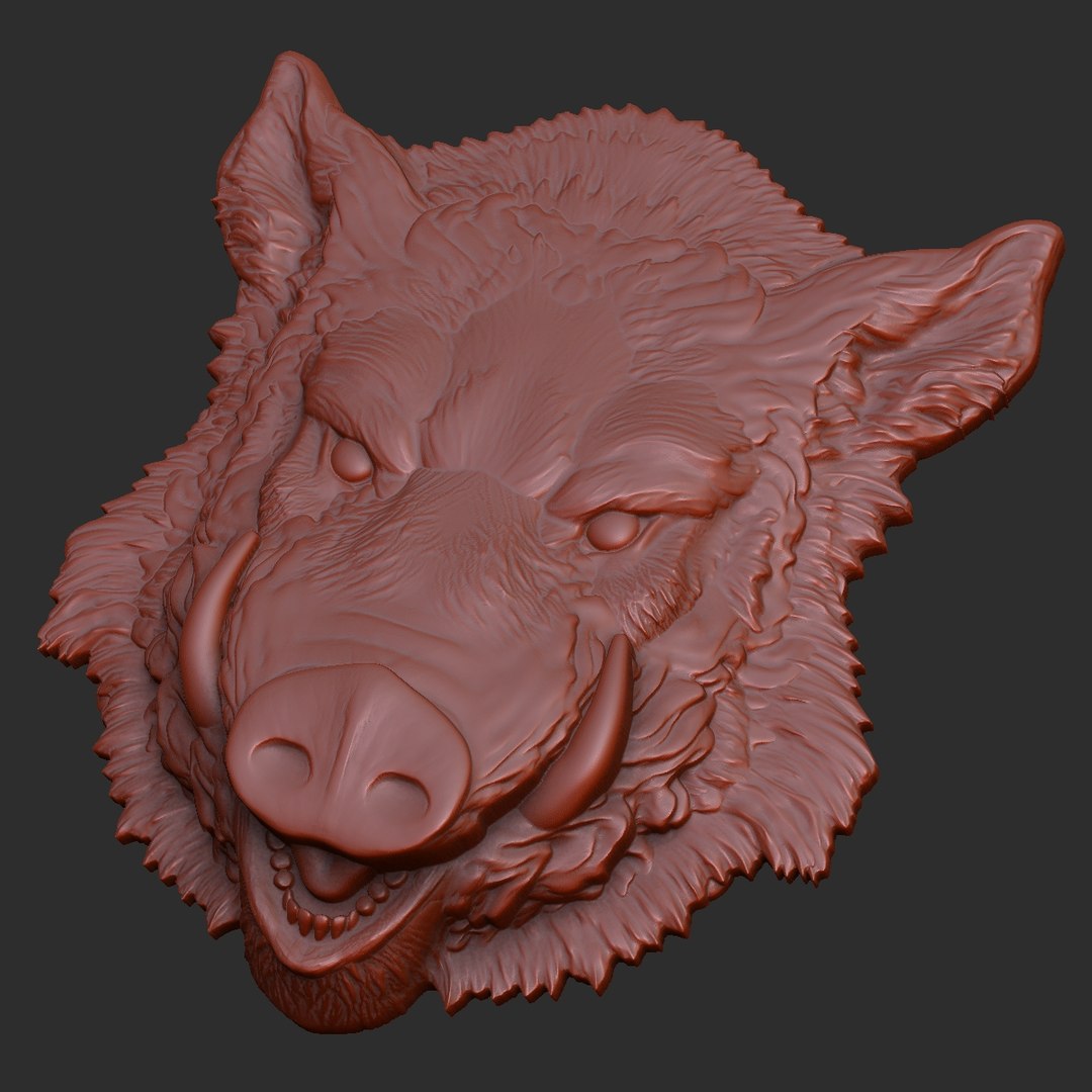 3D Boar Head - TurboSquid 1217057
