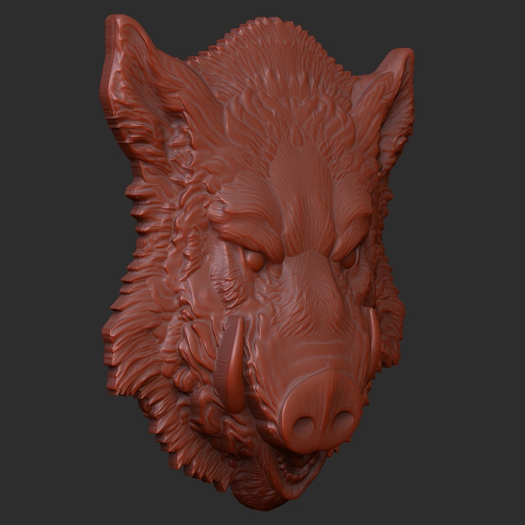 3D Boar Head - TurboSquid 1217057