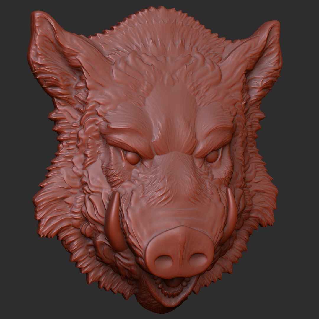3D Boar Head - TurboSquid 1217057