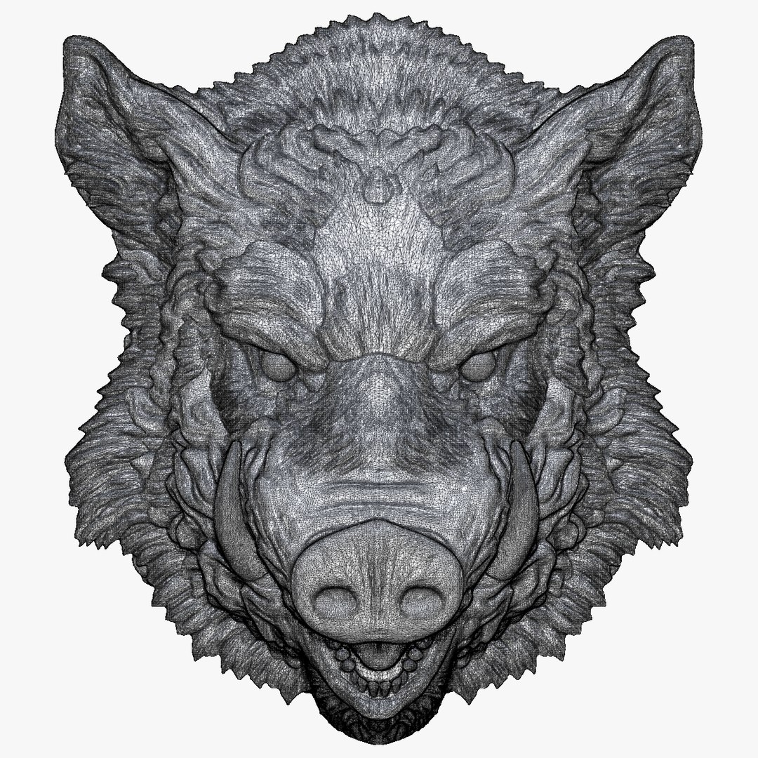 3D Boar Head - TurboSquid 1217057