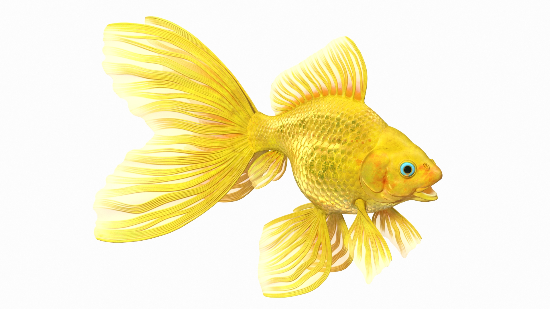 3D Goldfish Rigged For Modo Model - TurboSquid 1763661
