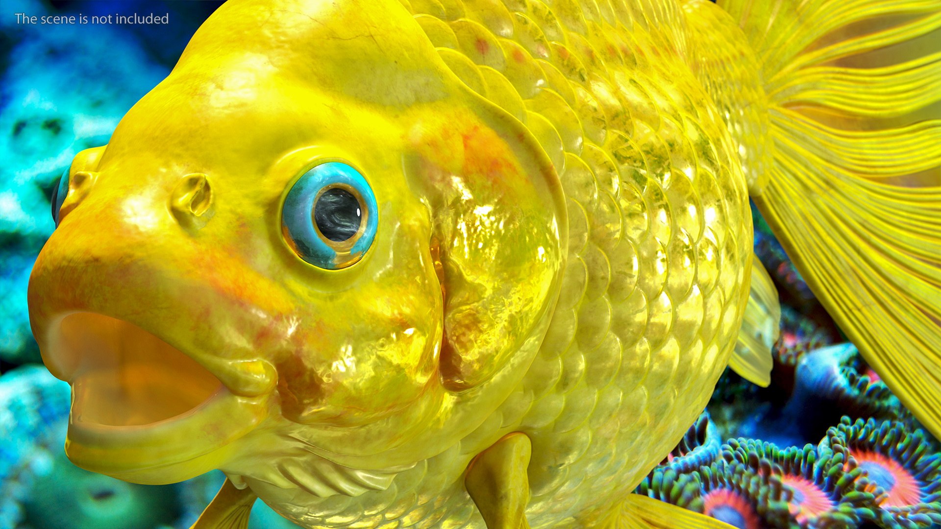 3D Goldfish Rigged For Modo Model - TurboSquid 1763661