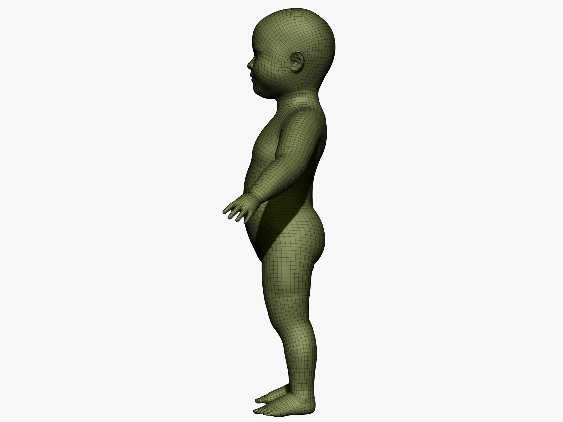 Baby Basemesh 3D model - TurboSquid 1880467