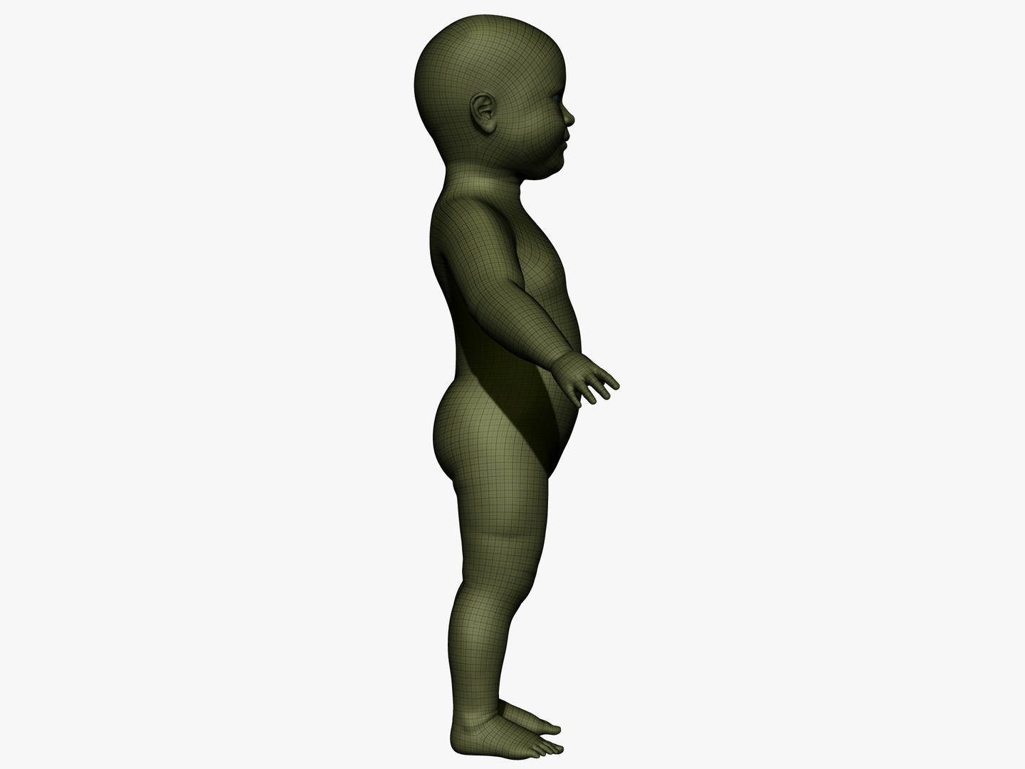 Baby Basemesh 3D model - TurboSquid 1880467