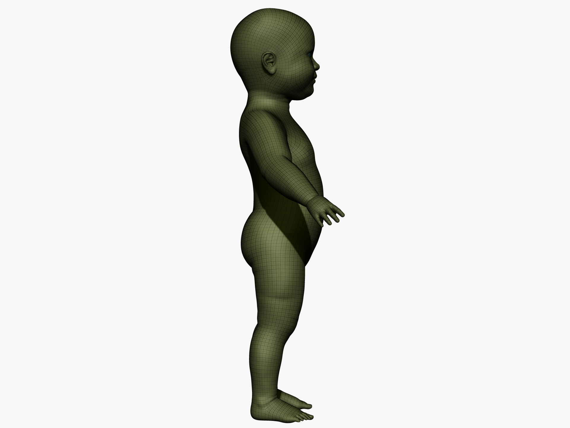 Baby Basemesh 3D model - TurboSquid 1880467